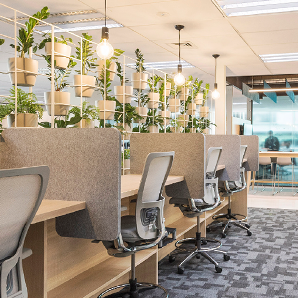 Cove Screen - Robyn Skeates Office Interiors NZ