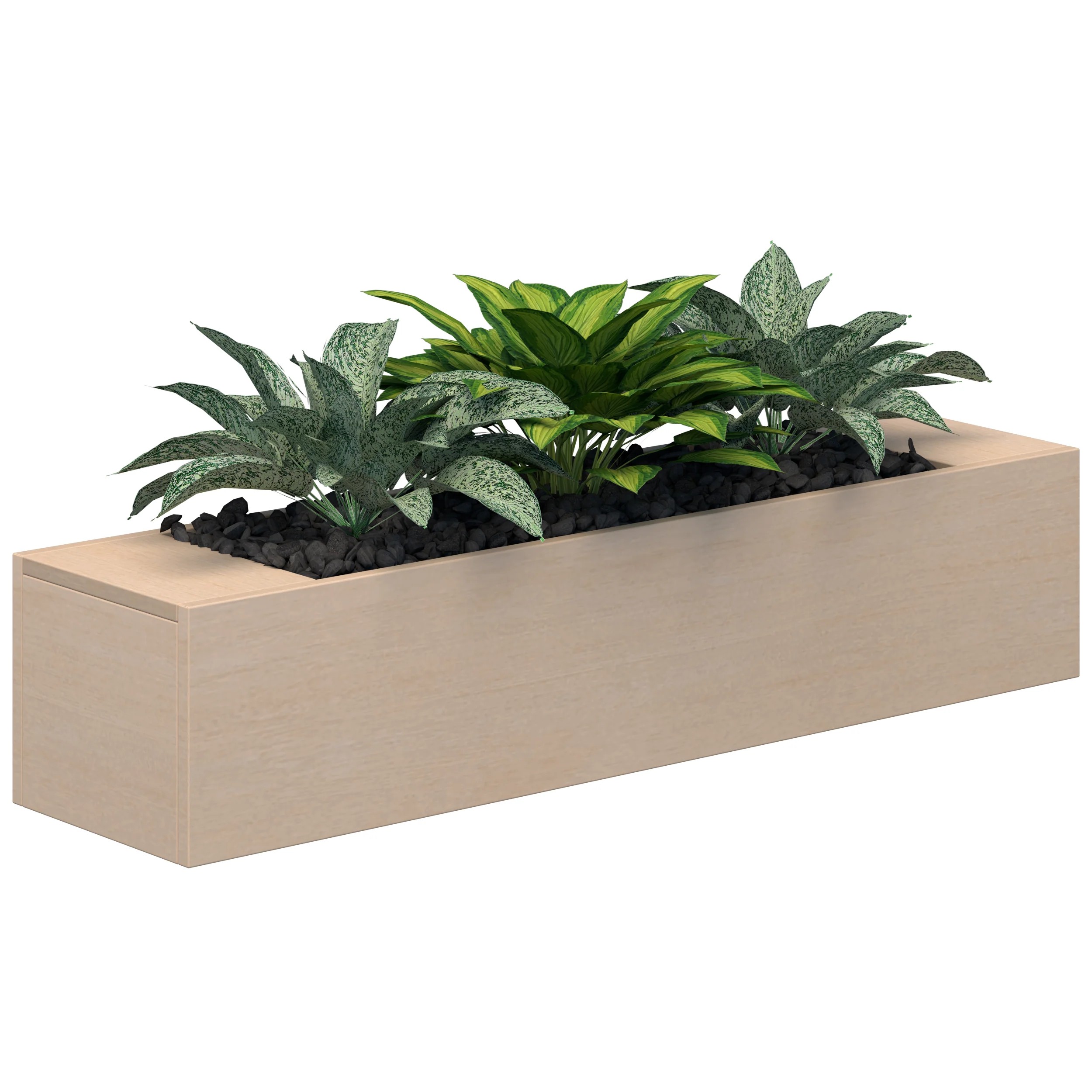 Table Top Planter Box - Robyn Skeates Office Interiors NZ